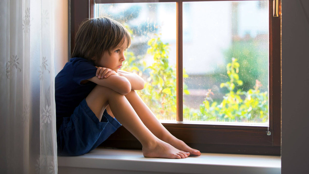 Grief Encounter: A Guide To Helping a Child Remember Someone Who Has P ...