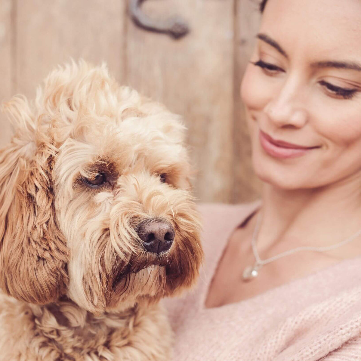 Getting a Pet | Top Tips for First Time Pet Owners – Hand on Heart ...